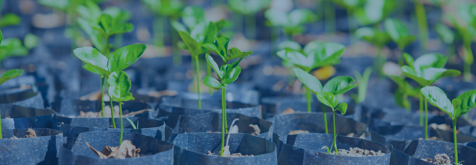 40 ways to grow your existing accounts